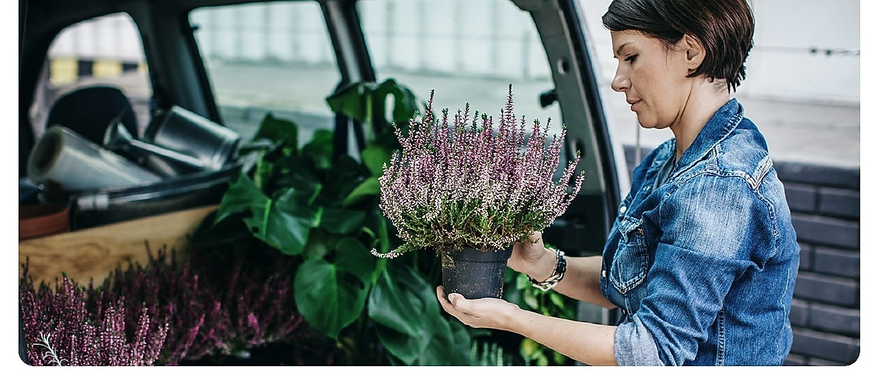 Carte Shell pour petites entreprises : gestion simplifiée et efficace ...